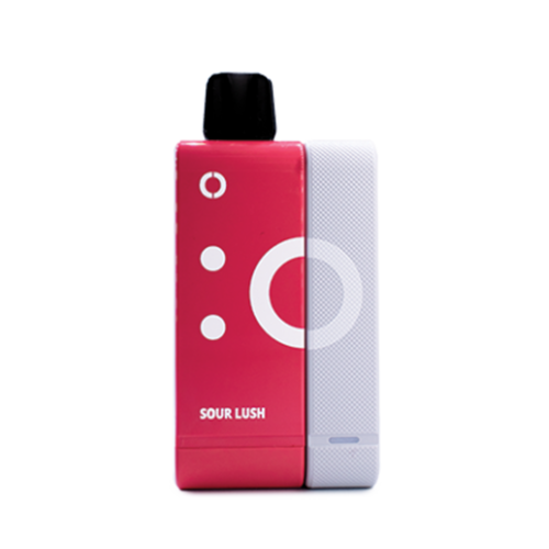 ELFBAR EW 9000 KIT – Liq-Kamva Vape Store